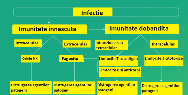 Vitamine si Minerale, 3 plicuri Imuno Boost - eMAG.ro